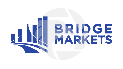 Bridge Markets评价-中文平台怎么样？外汇交易商-外汇天眼(WikiFX)