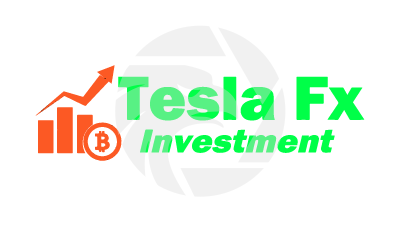 Tesla Trade Investment Review, Mga Pagsusuri, Scam or Legit Broker ...